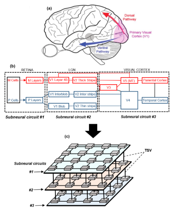Neuroengineering Lab, Aizu University, Japan